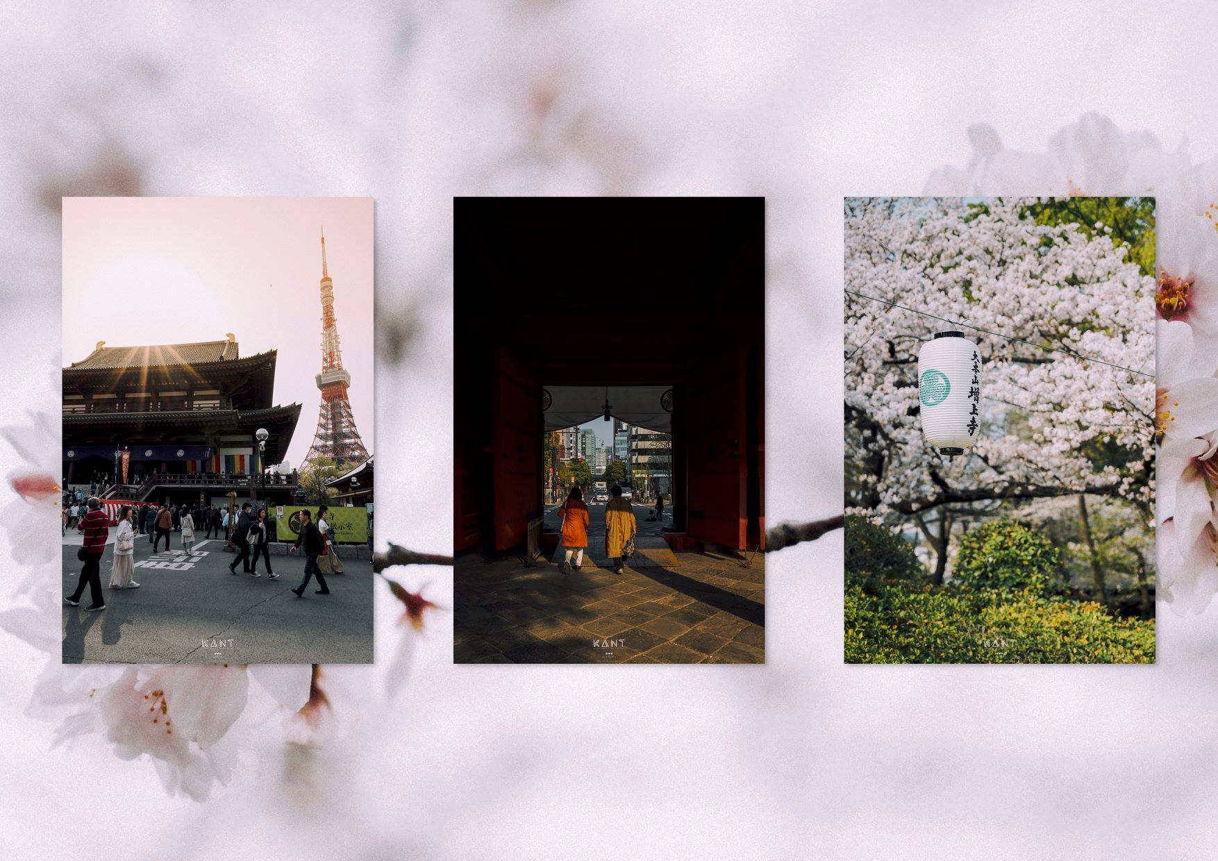 Color of Tokyo | KANT