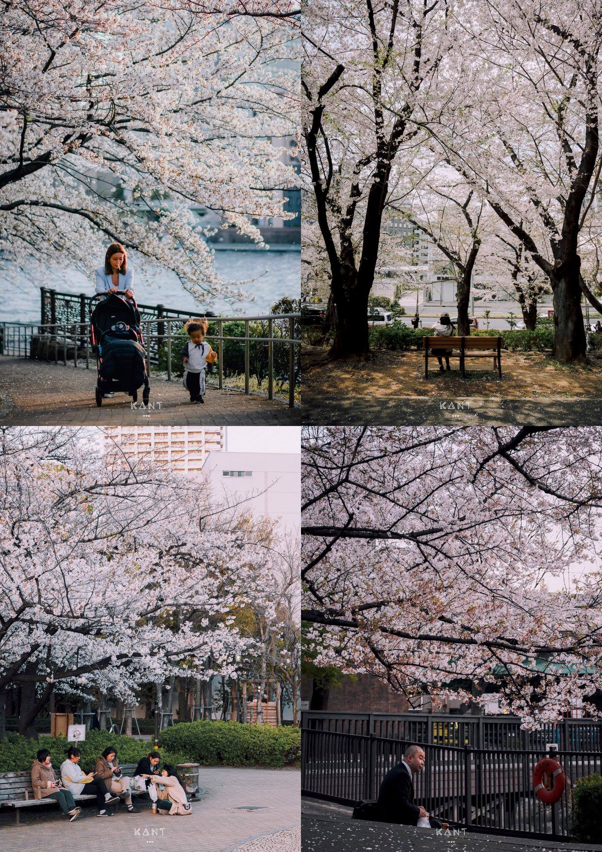 Color of Tokyo | KANT