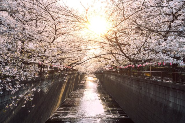 Color of Tokyo | KANT