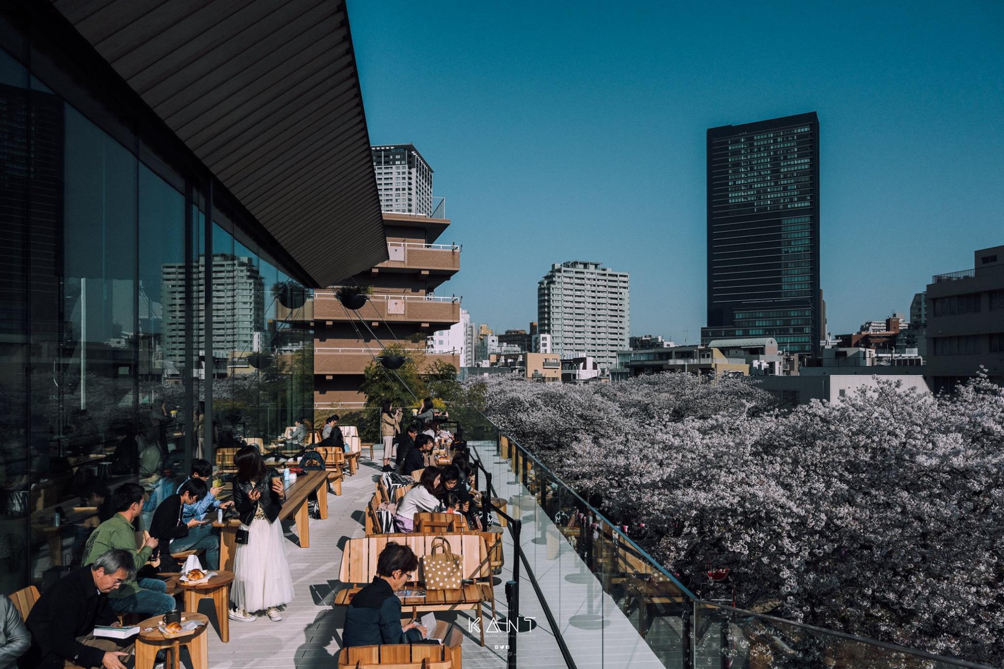 Color of Tokyo | KANT