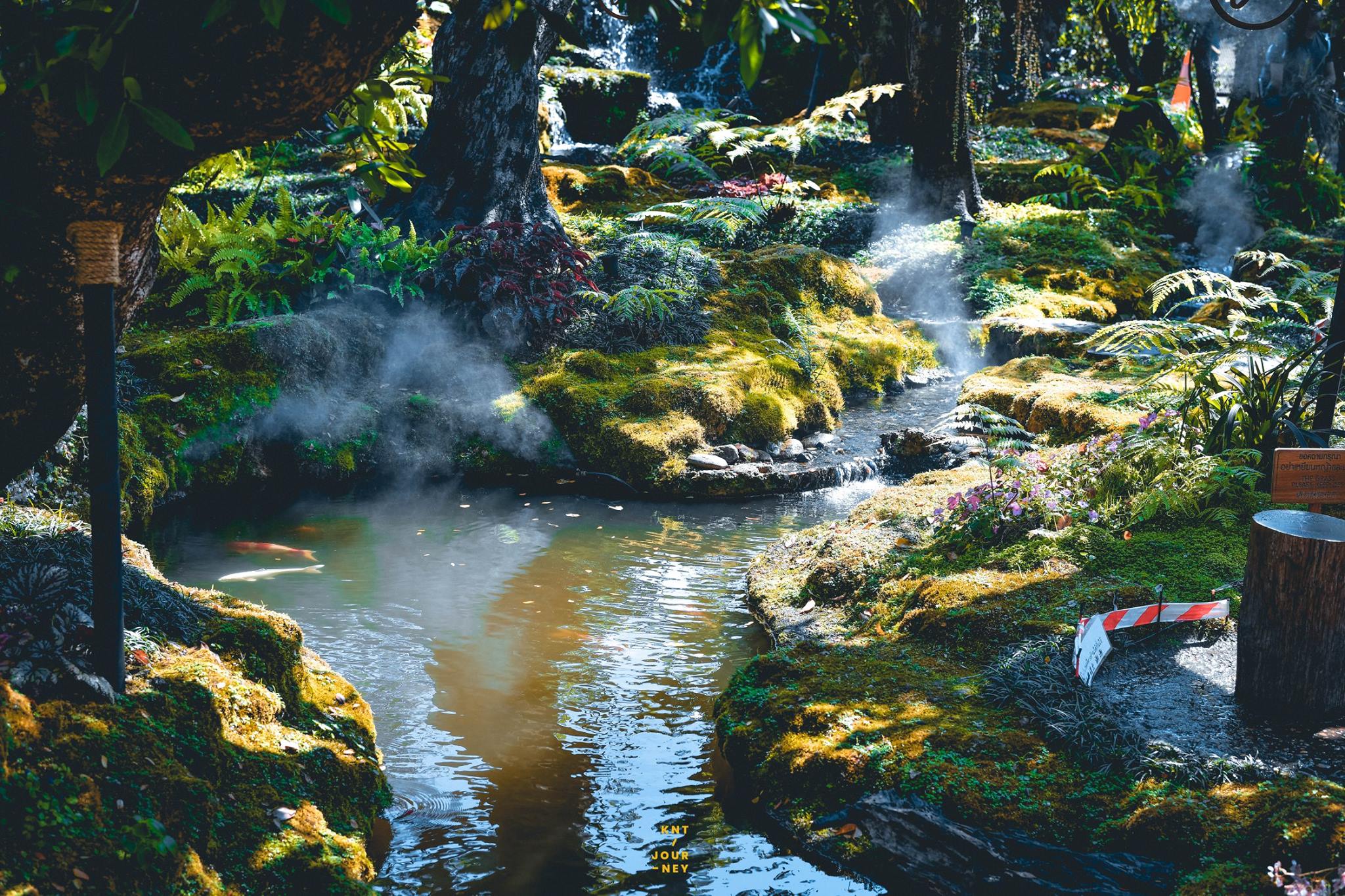 Chom Cafe and Restaurant, Chiangmai | KANT