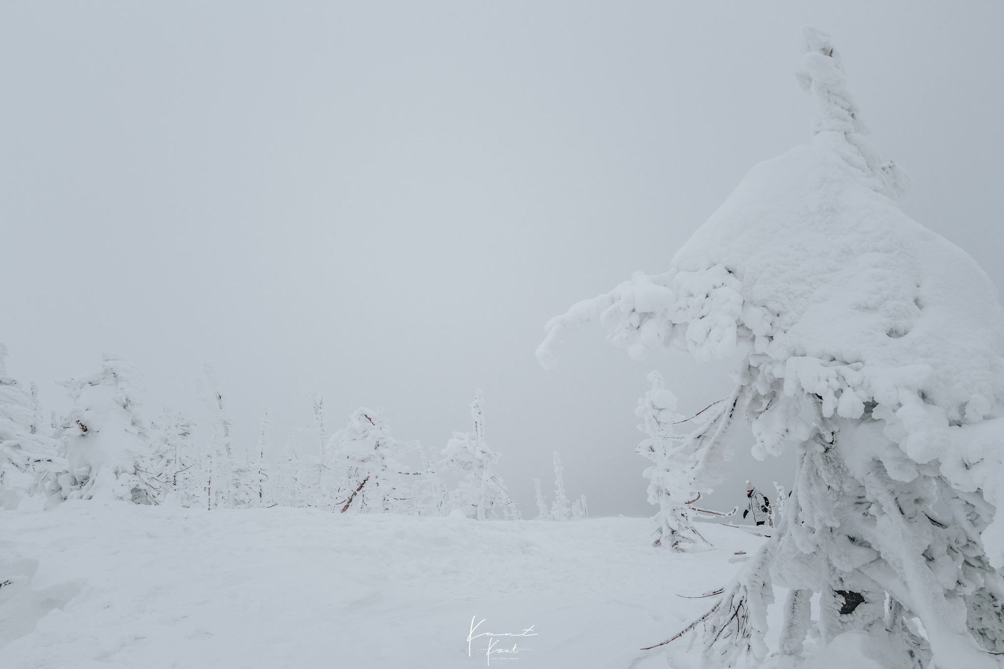 5 Awesome Snow Spots | KANT