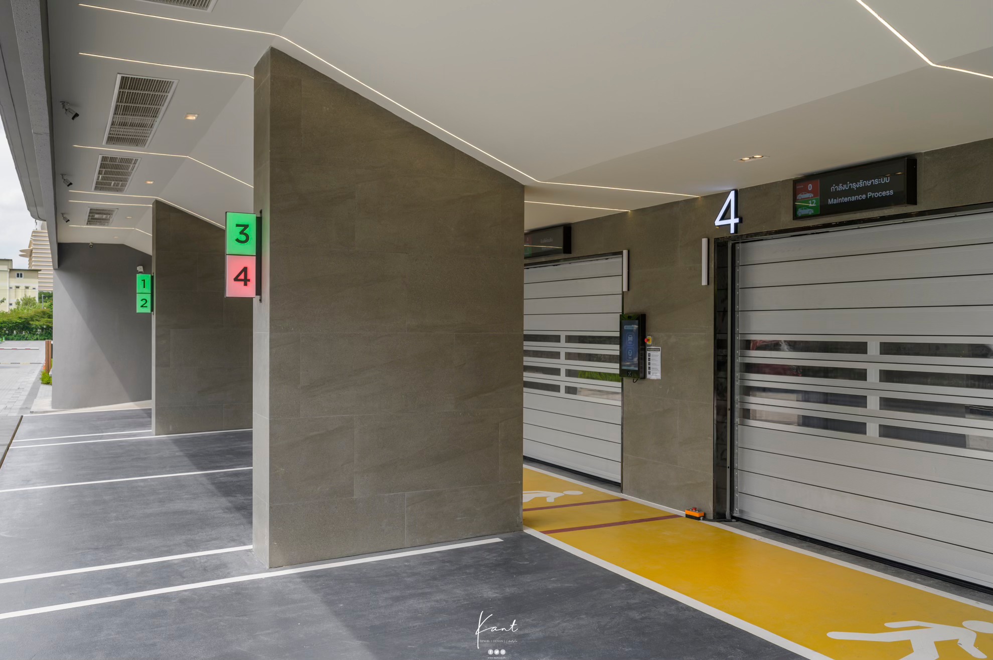 Whizdom The Forestias Petopia | KANT